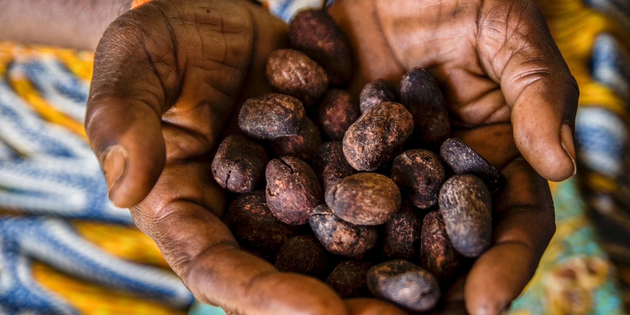 SHEA BUTTER FROM GHANA Dwell