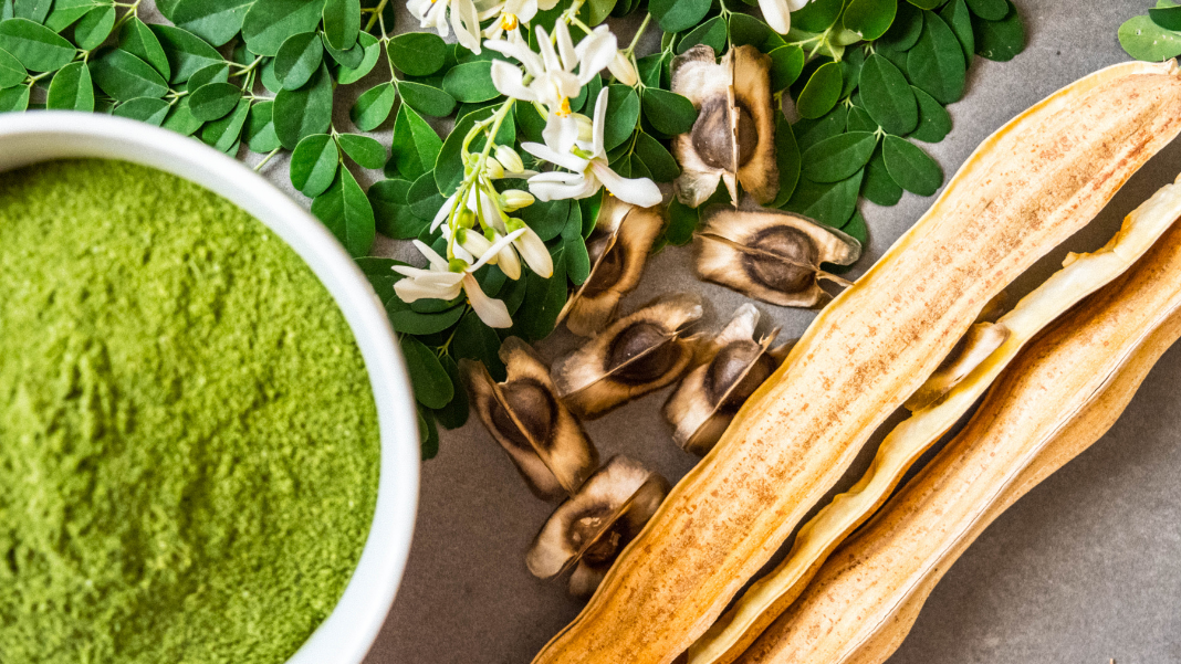 MORINGA OLEIFERA - Dwell
